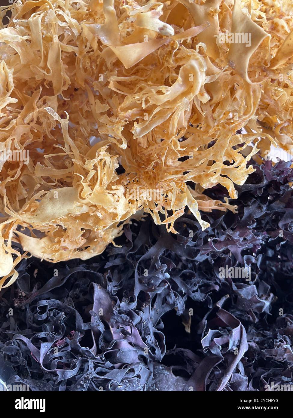 Seamoss gel hi-res stock photography and images - Alamy