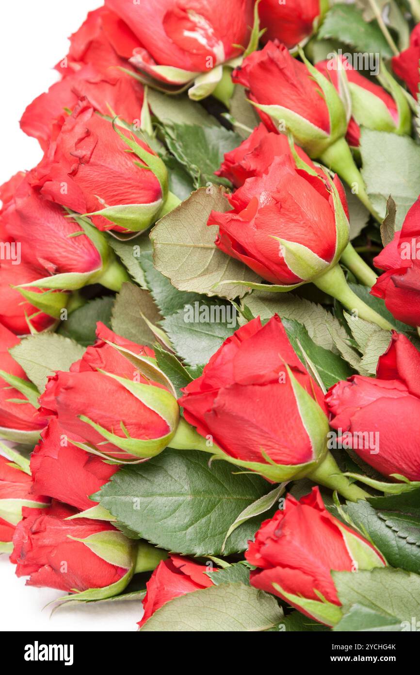 Bouquet of red roses for romantic gift background Stock Photo - Alamy