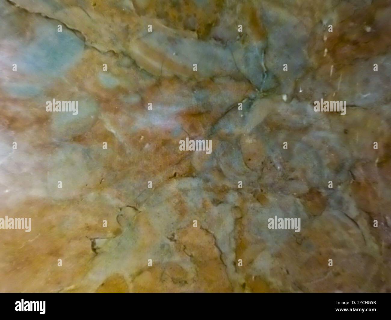 Old Roman marble texture background, Italian marble slab, The texture ...