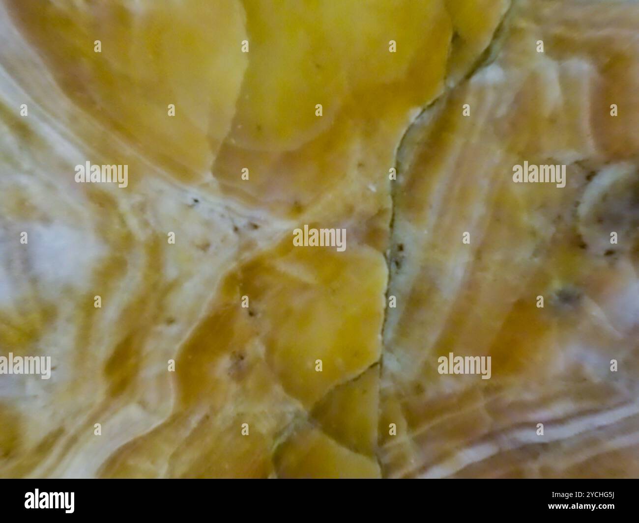 Old Roman marble texture background, Italian marble slab, The texture ...