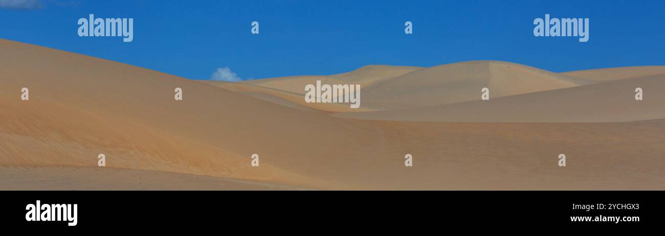 Sand dunes in northern Brazil at sunset Stock Photo - Alamy