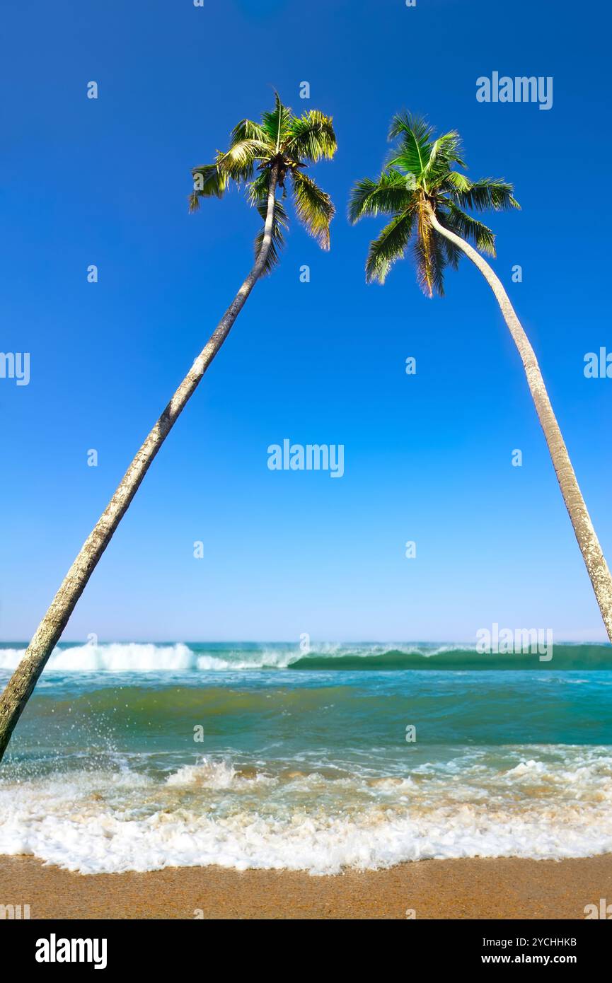 Ocean landscape tropical beach hi-res stock photography and images - Alamy