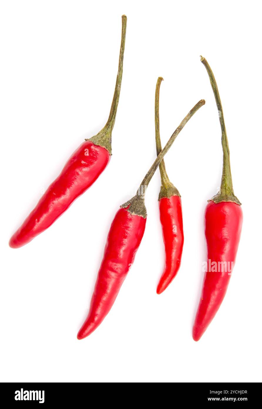 Fresh red chilli Stock Photo - Alamy