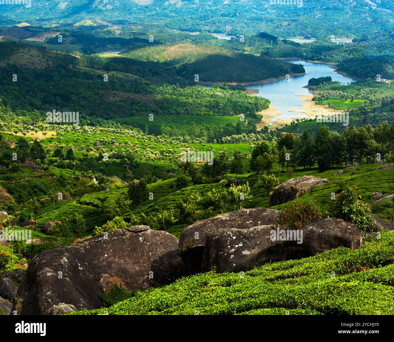 Tea plantation landscape panorama with river at sunny day. Munnar ...