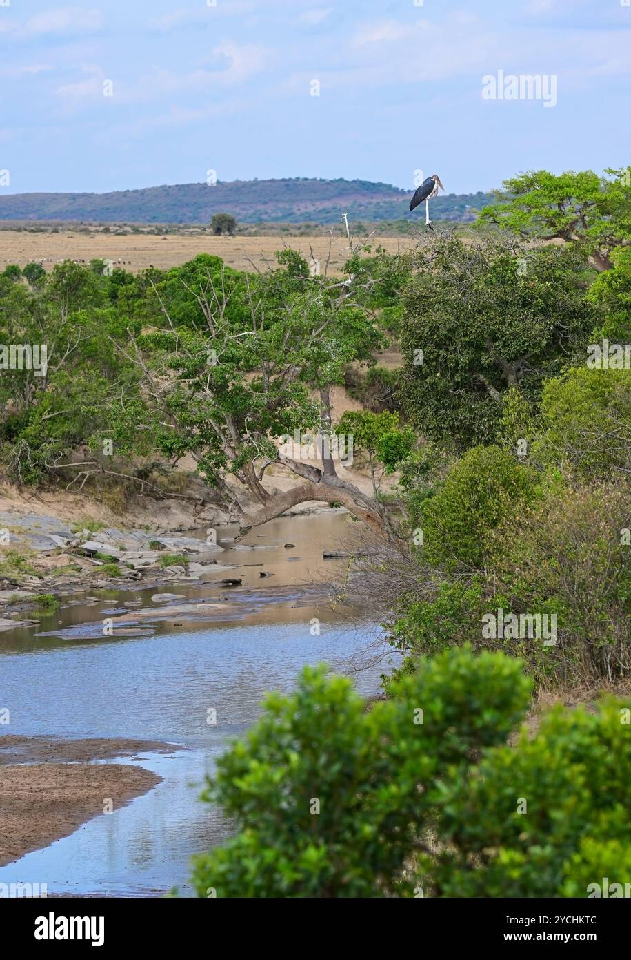 Winding river surrounded by lush vegetation in the African savannah ...