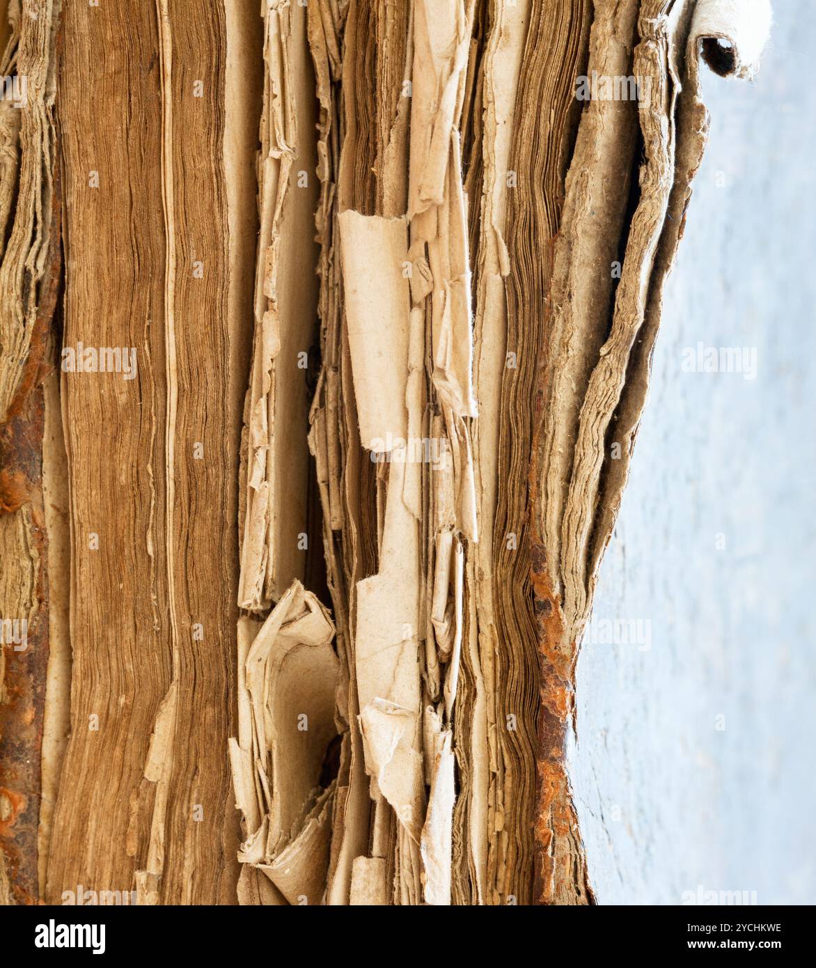 Bible texture hi-res stock photography and images - Alamy