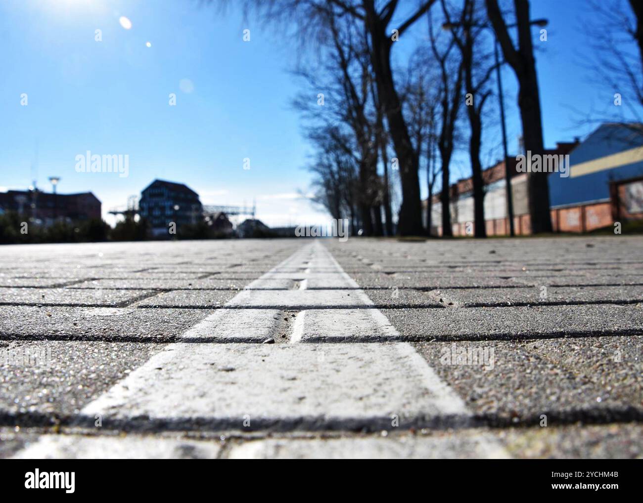 A white arrow is painted on the road to guide drivers Stock Photo - Alamy
