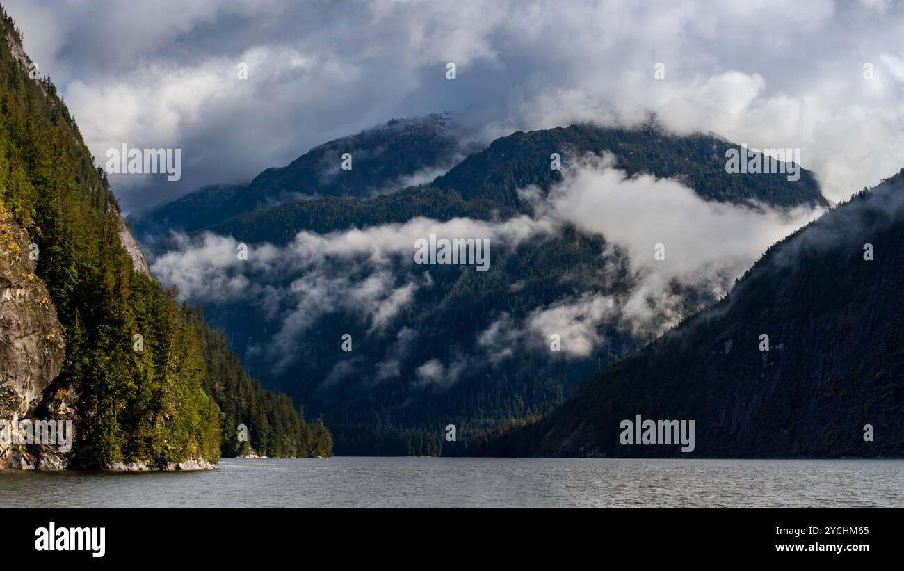 Misty clouds surround towering mountains deep in the temperate ...