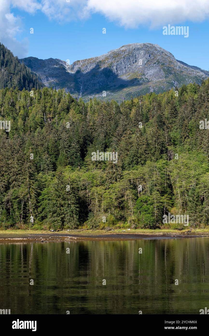 Afternoon autumn sunlight and blue skies over the shoreline, forest and ...