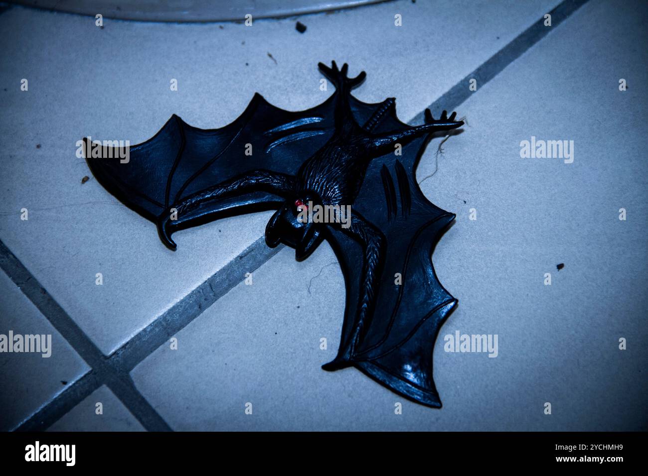 close up picture of a black bat Stock Photo - Alamy