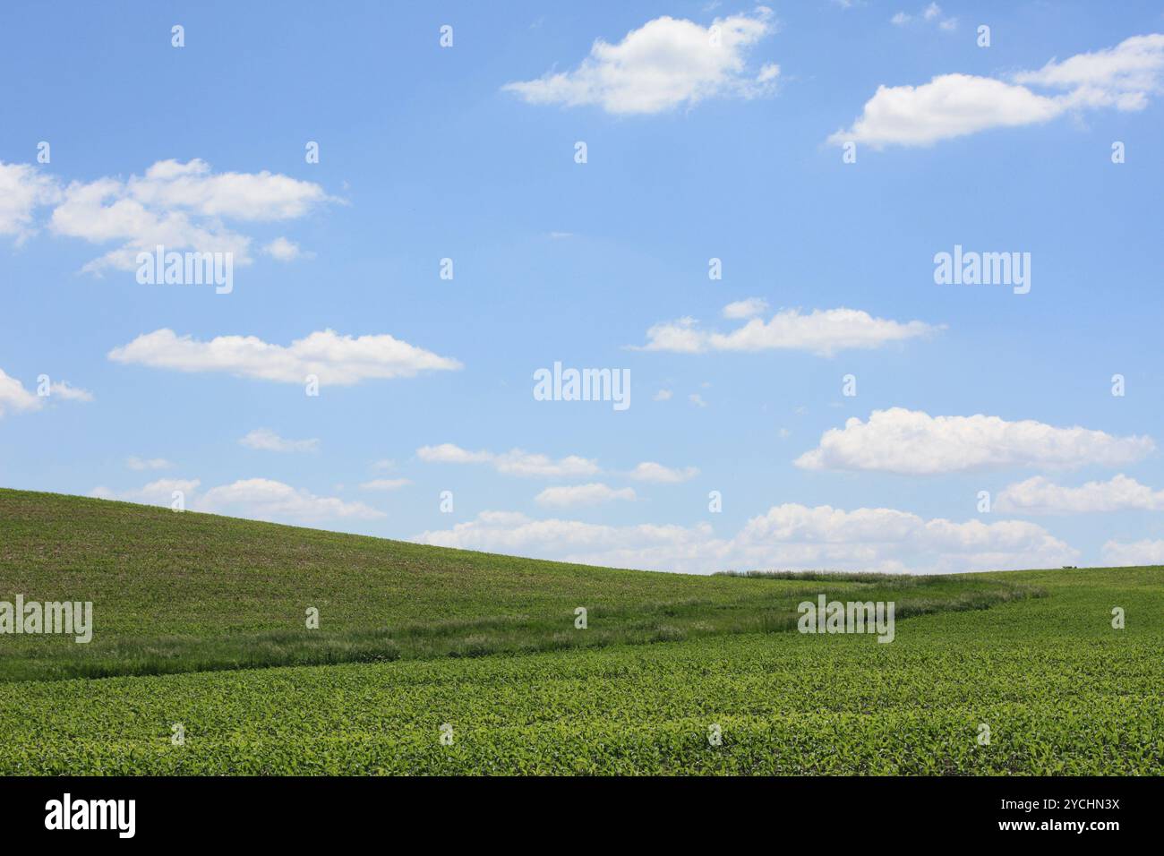 Cornfields midwest hi-res stock photography and images - Alamy