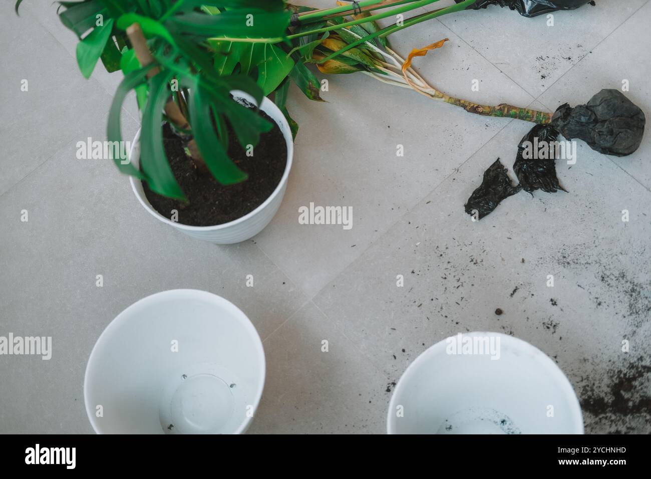 From above terrace where the houseplants are being replanted into new ...