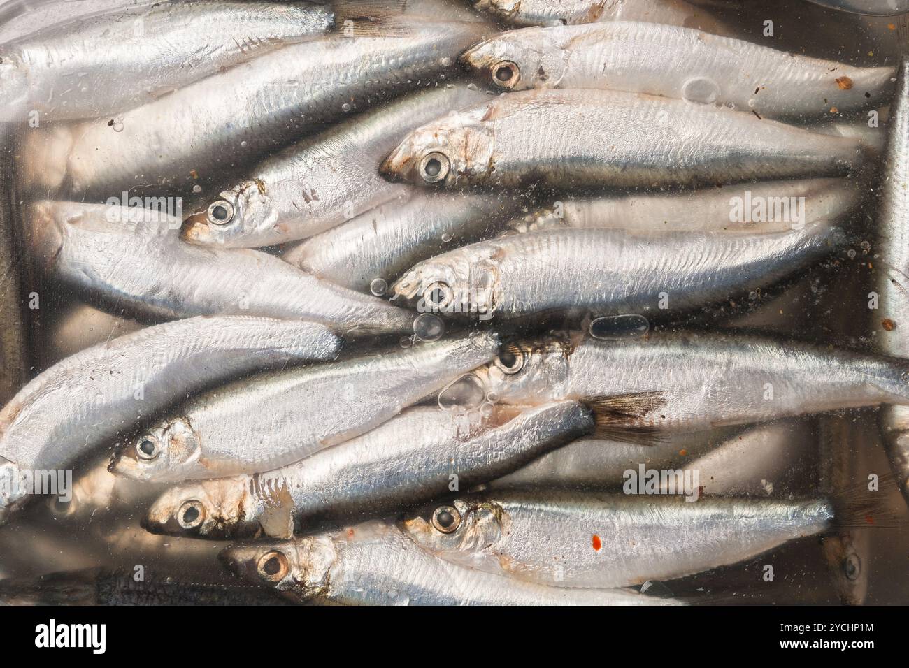 Small salted fish anchovies in marinade under cover Stock Photo - Alamy