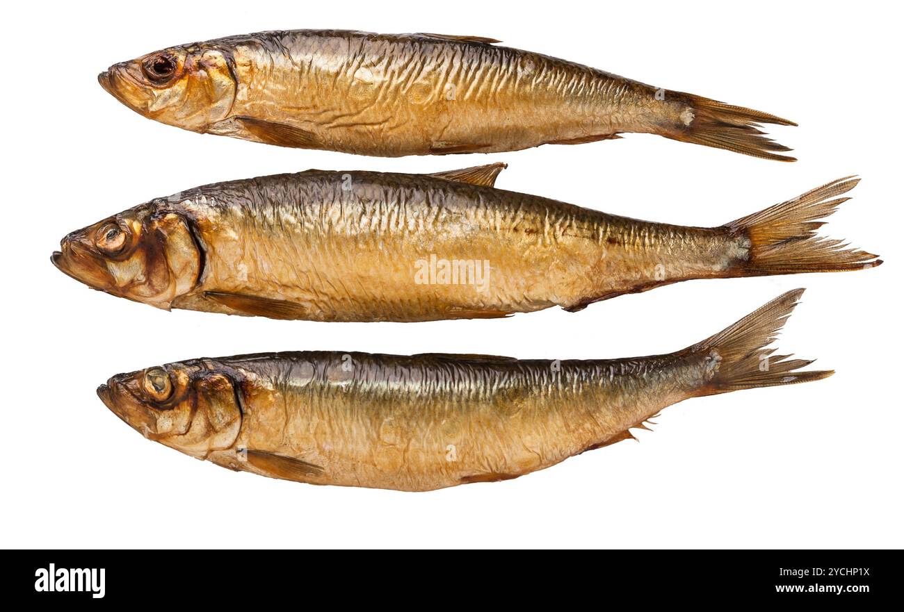 Brown smoked trunk fish on white background Stock Photo - Alamy