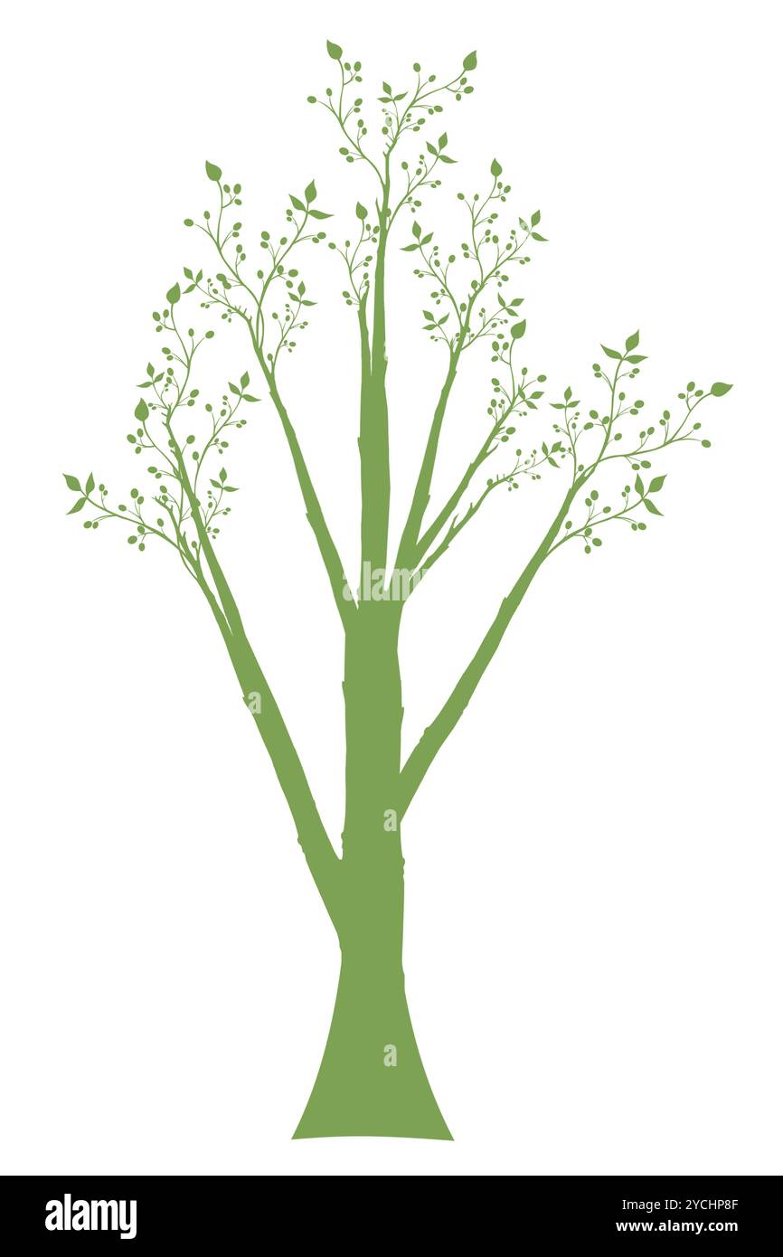 Olive tree growing Cut Out Stock Images & Pictures - Alamy