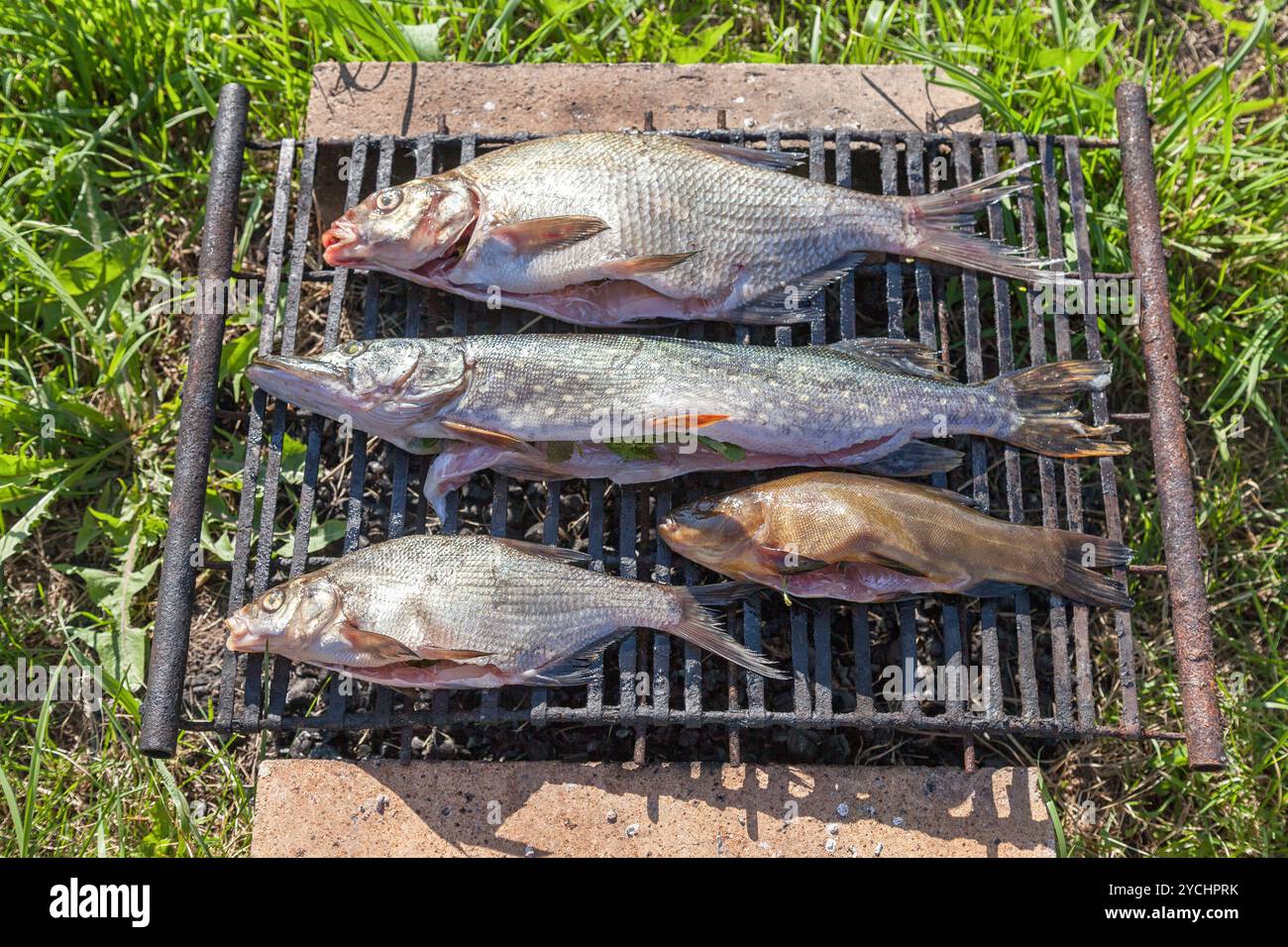 Smoking hot hi-res stock photography and images - Alamy