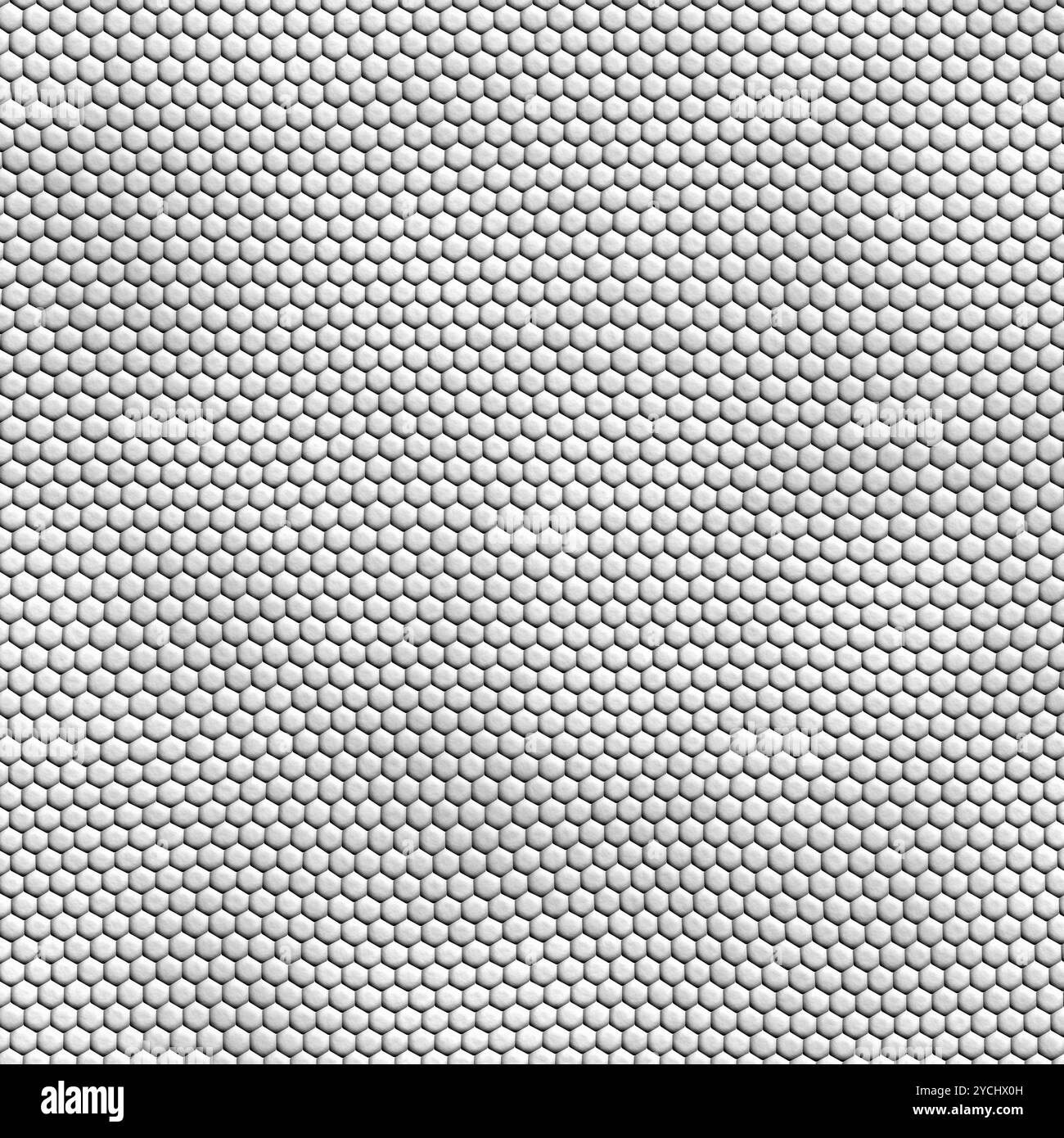 Snakeskin detail hi-res stock photography and images - Alamy