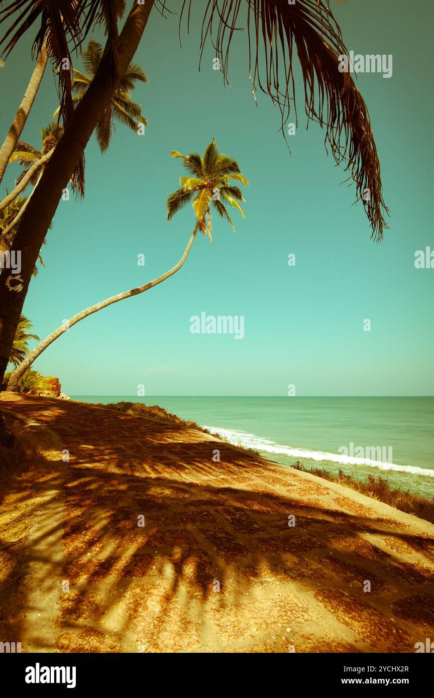 Sunny tropical climate hi-res stock photography and images - Alamy