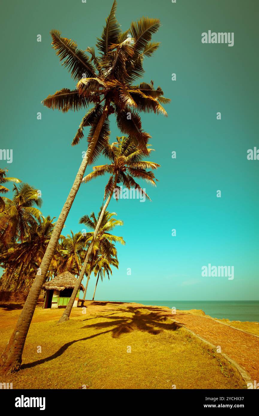 Beautiful tropical pacific coast hi-res stock photography and images ...