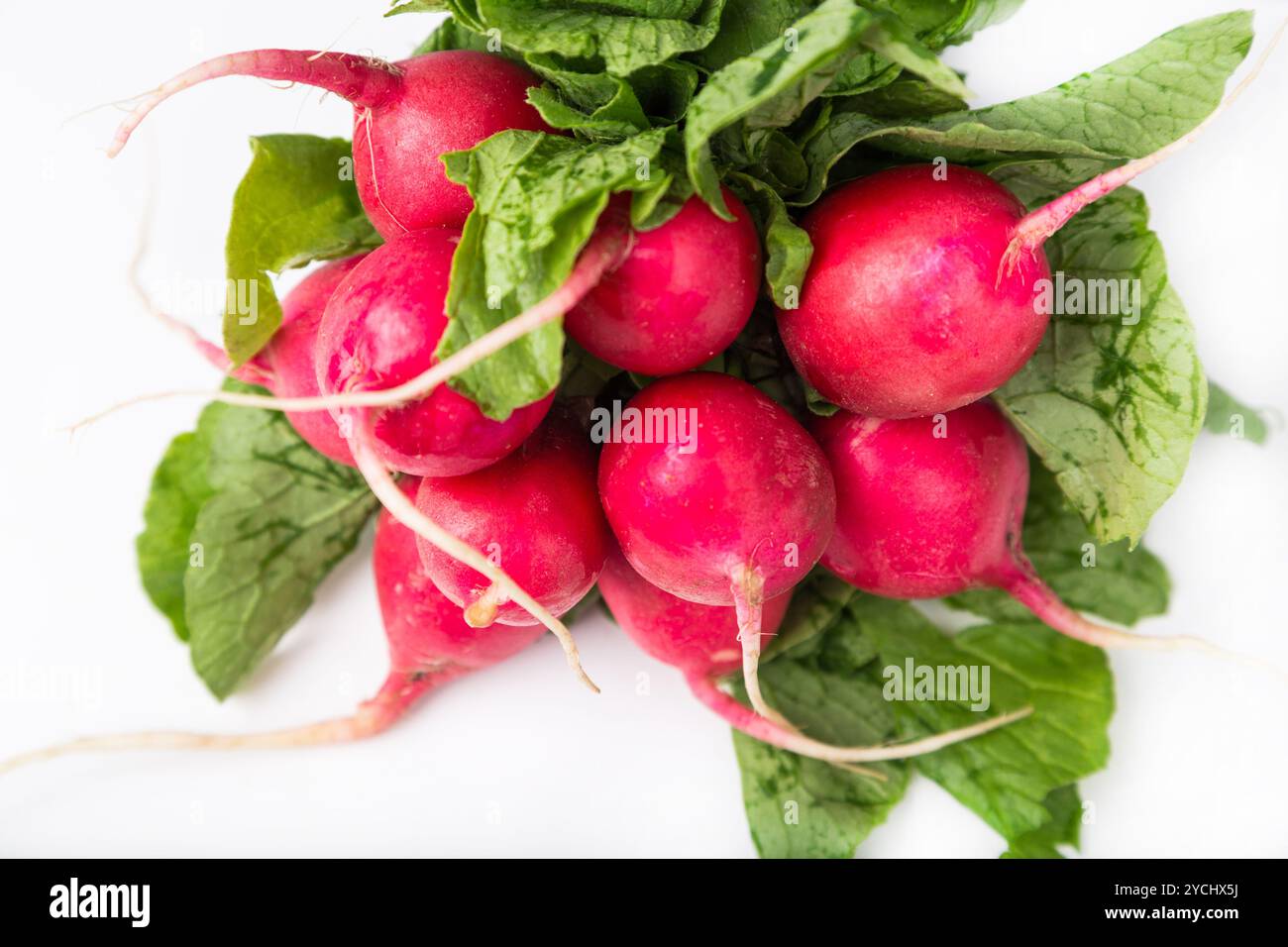Heap red ripe radishes hi-res stock photography and images - Alamy