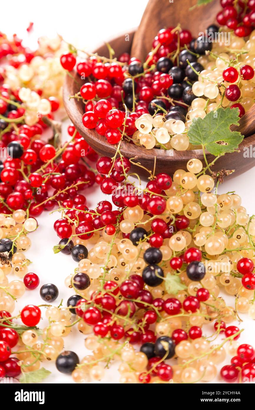Currants different colors - red, black, white Stock Photo - Alamy