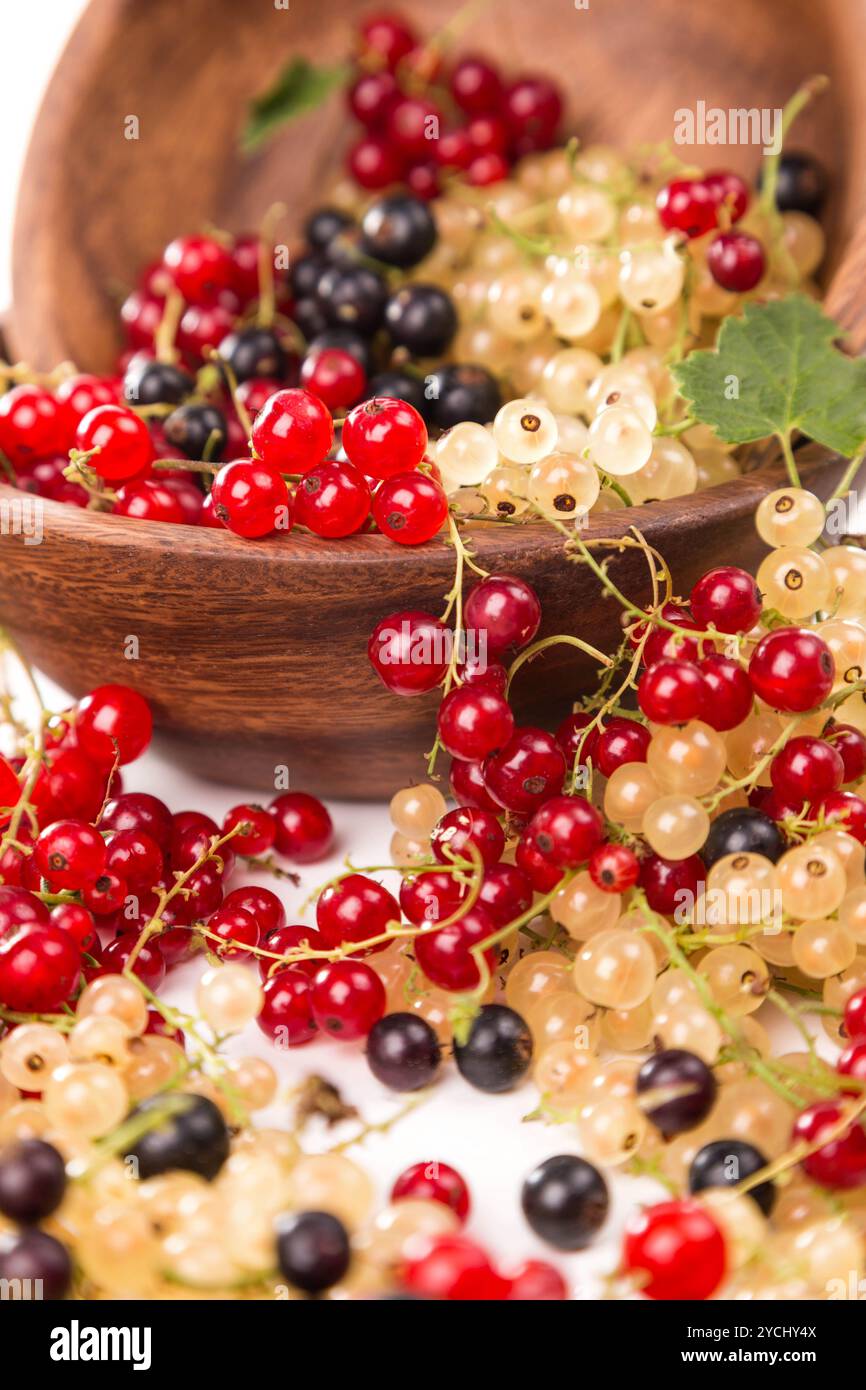 Currants different colors - red, black, white Stock Photo - Alamy