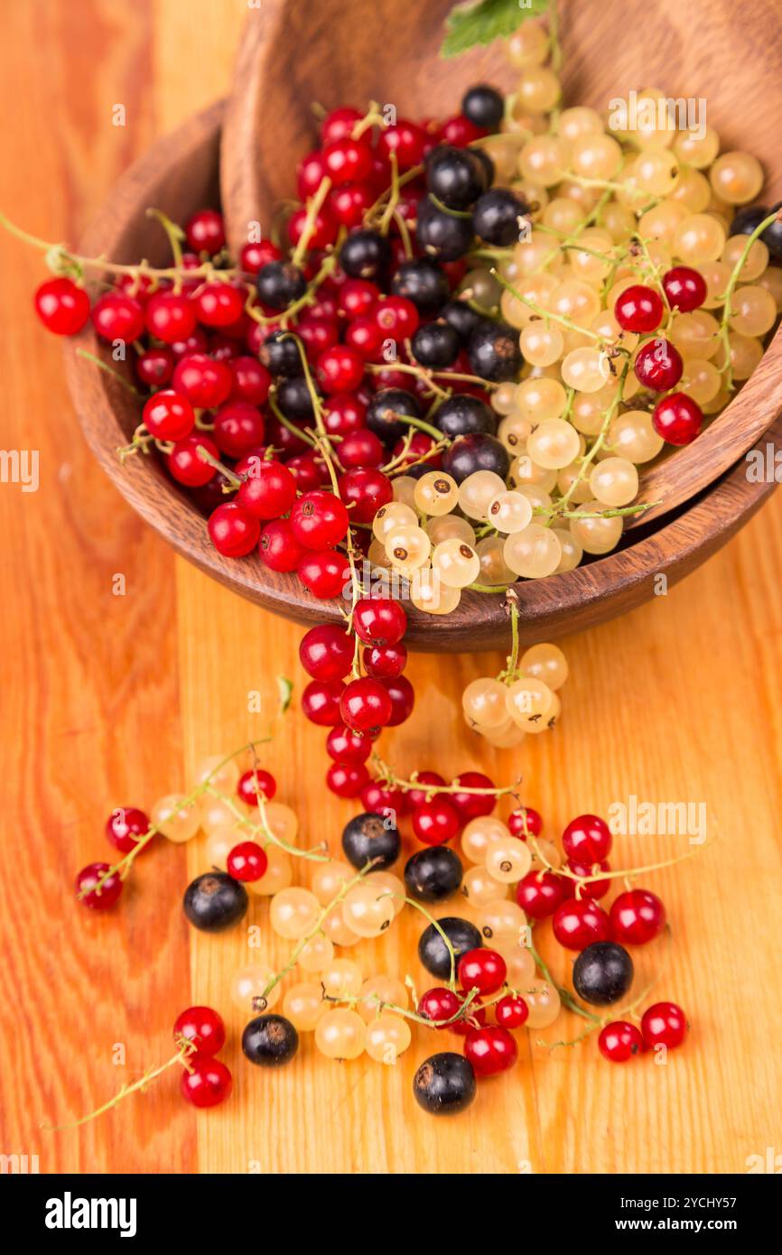 Currants different colors - red, black, white Stock Photo - Alamy