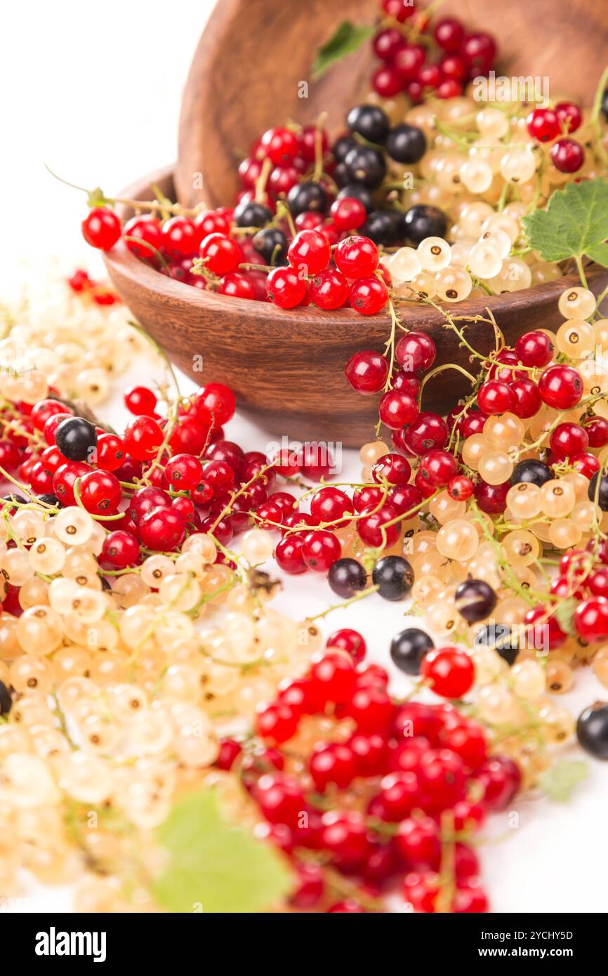 Currants different colors - red, black, white Stock Photo - Alamy