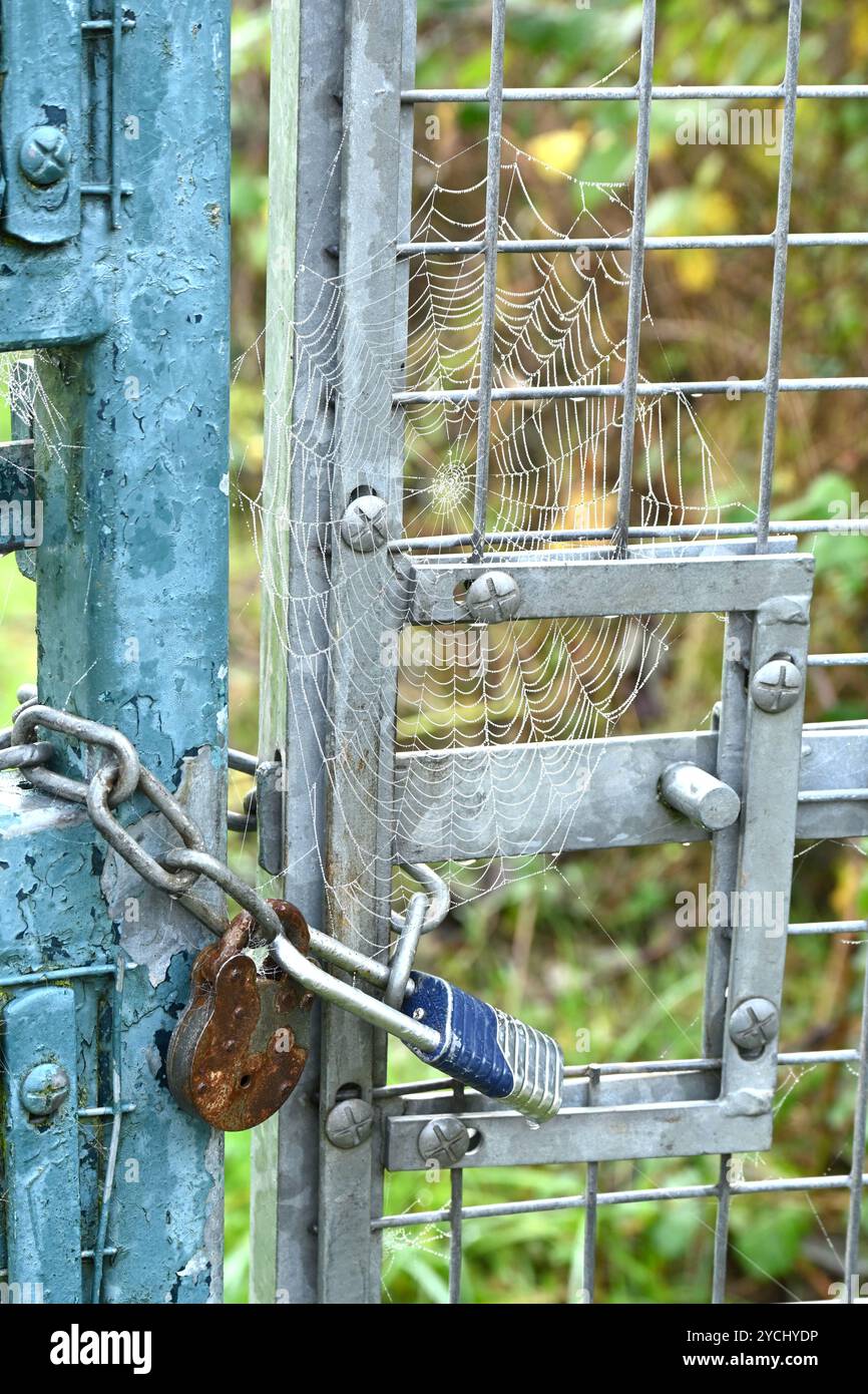 Spider web gate hi-res stock photography and images - Alamy