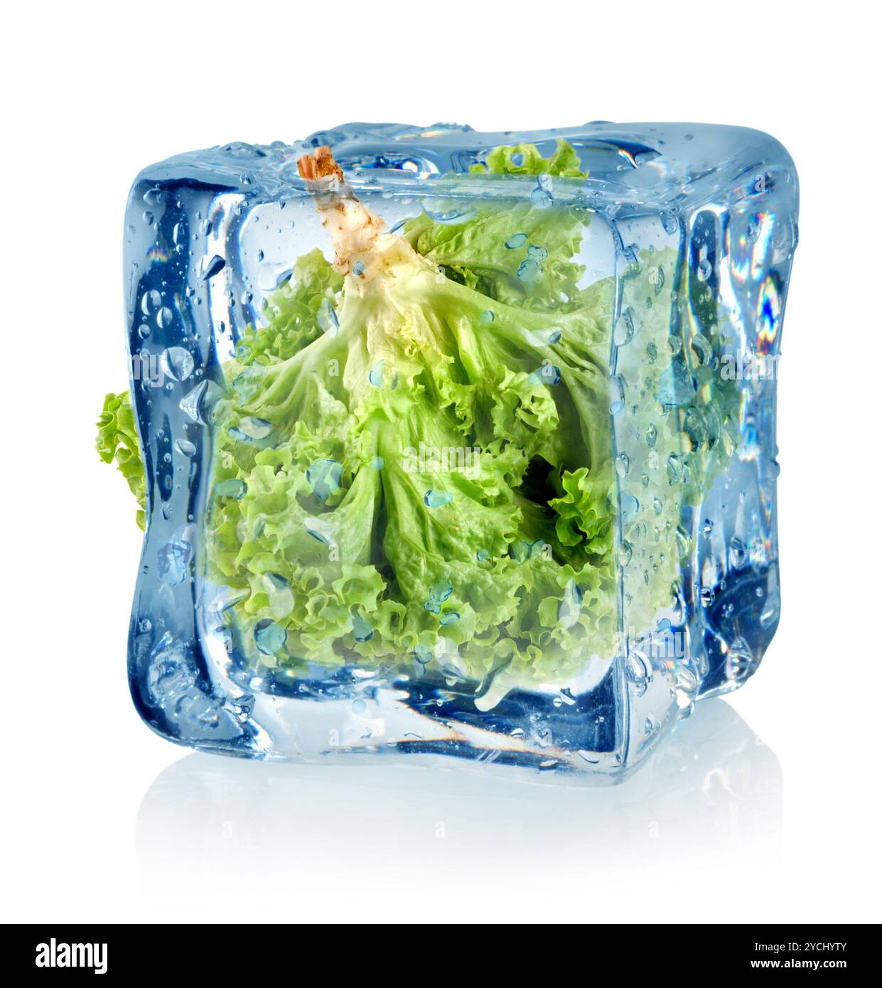 Wet lettuce on white hi-res stock photography and images - Alamy
