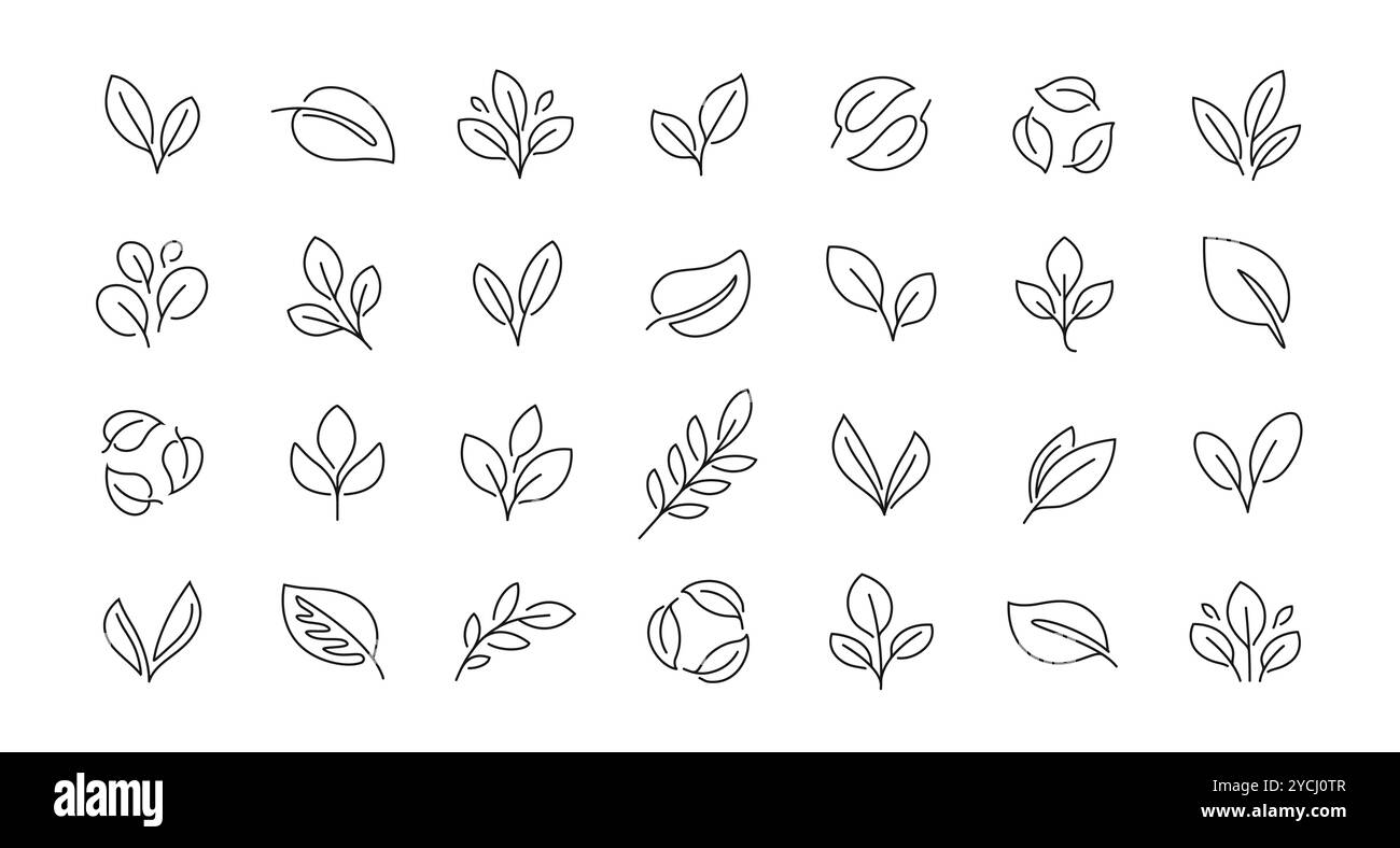 Leaf icons set. Leaves symbols in line style. Natural, eco, vegan, bio ...