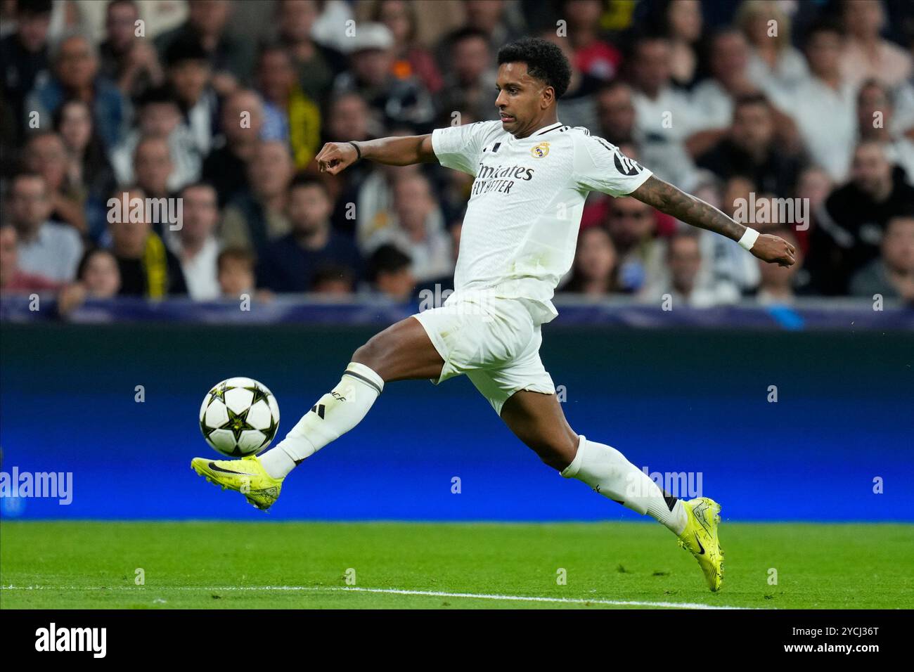 Madrid, Spain. 22nd Oct, 2024. Rodrigo Goes of Real Madrid CF during ...