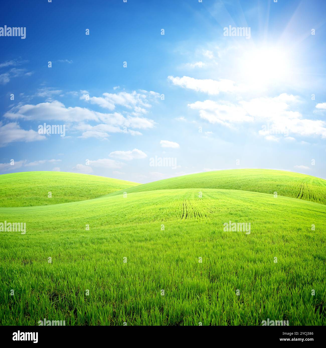 Pasture land grass hi-res stock photography and images - Alamy