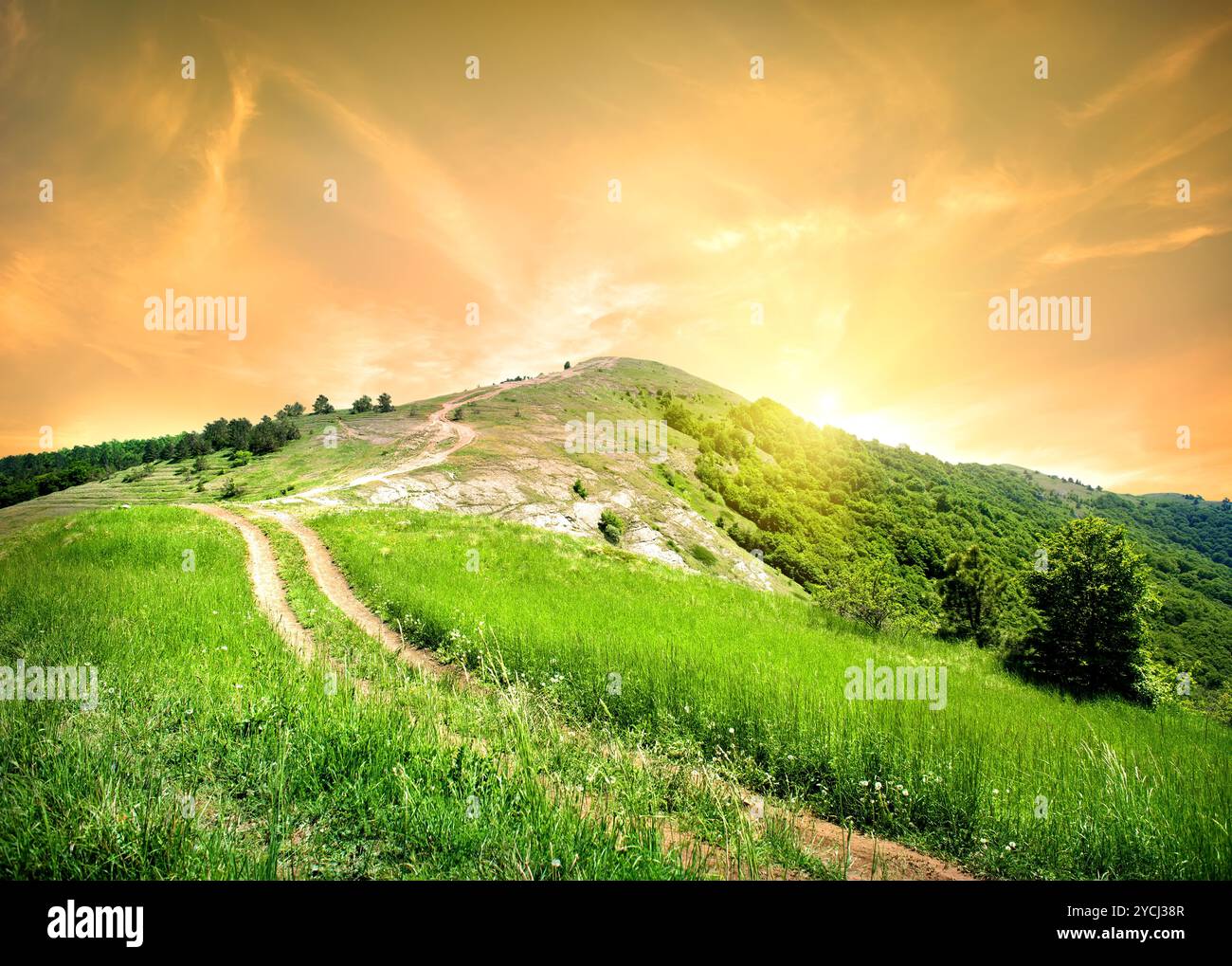 Road in the plain hi-res stock photography and images - Alamy