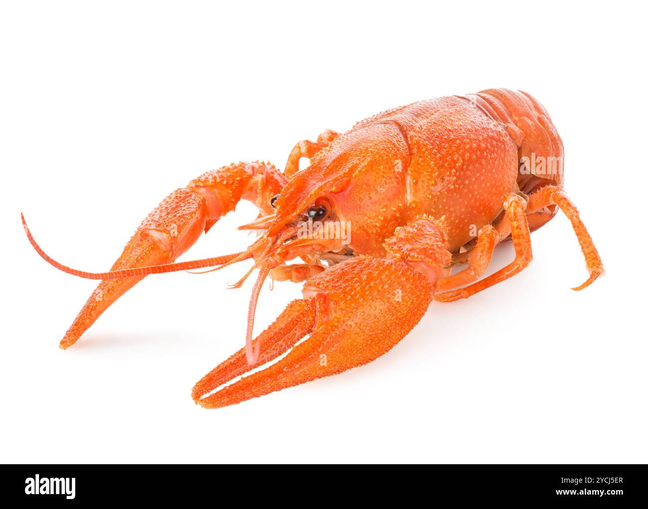 Restaurant dish red seafood hi-res stock photography and images - Alamy