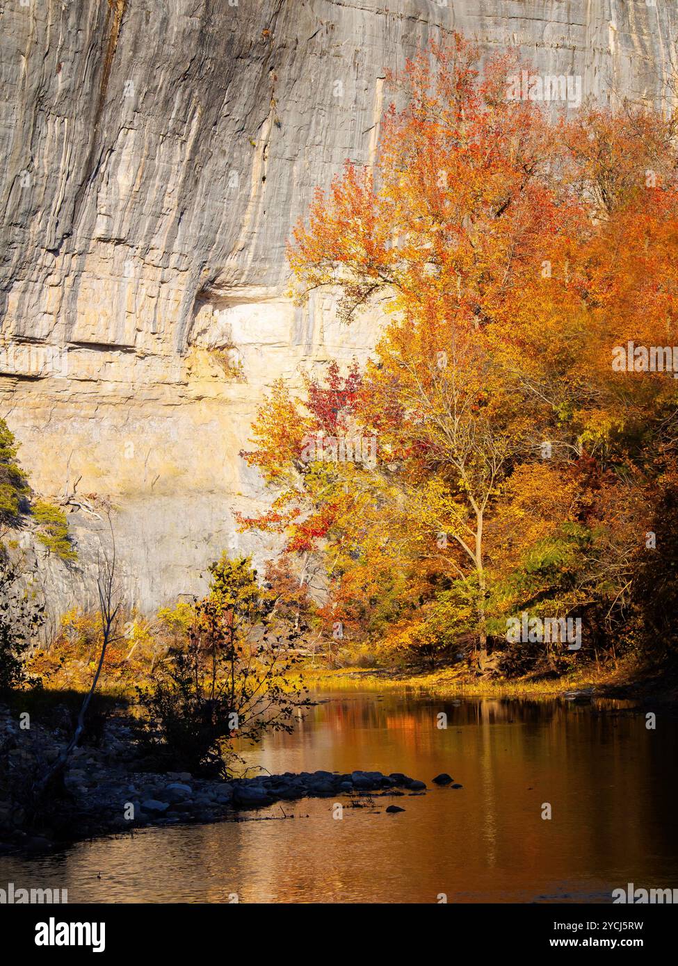 Fall foliage color in Arkansas. Bluff, river creek, afternoon sun and ...
