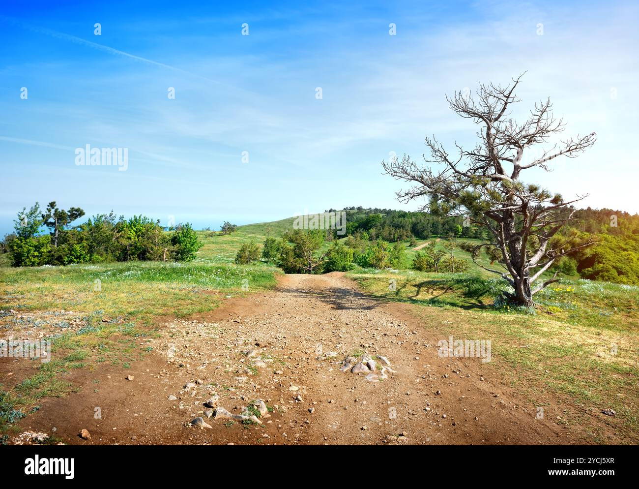Sandy landscapes hi-res stock photography and images - Alamy