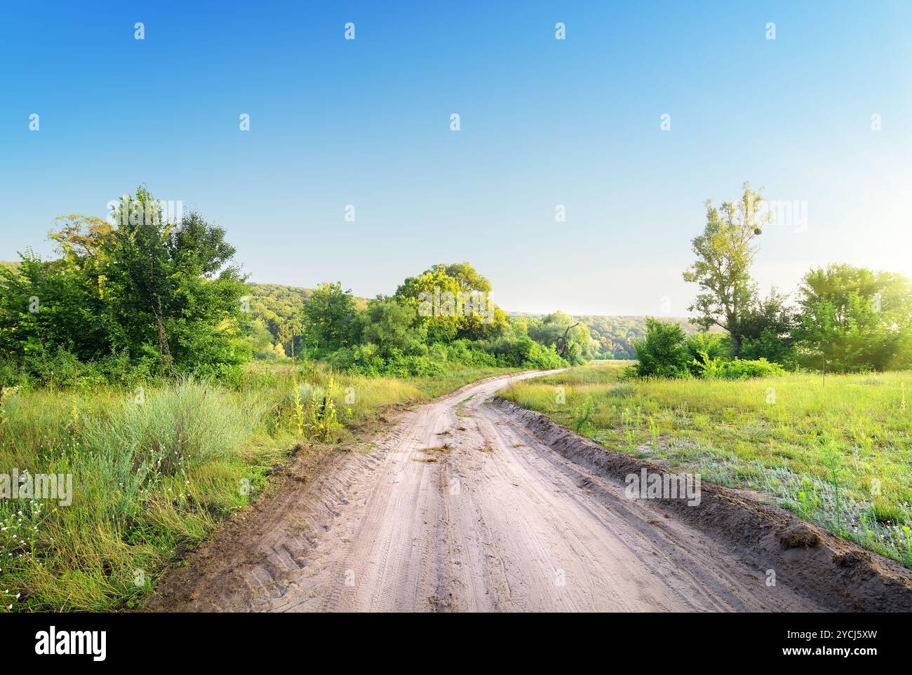 Winding road with a tree hi-res stock photography and images - Alamy