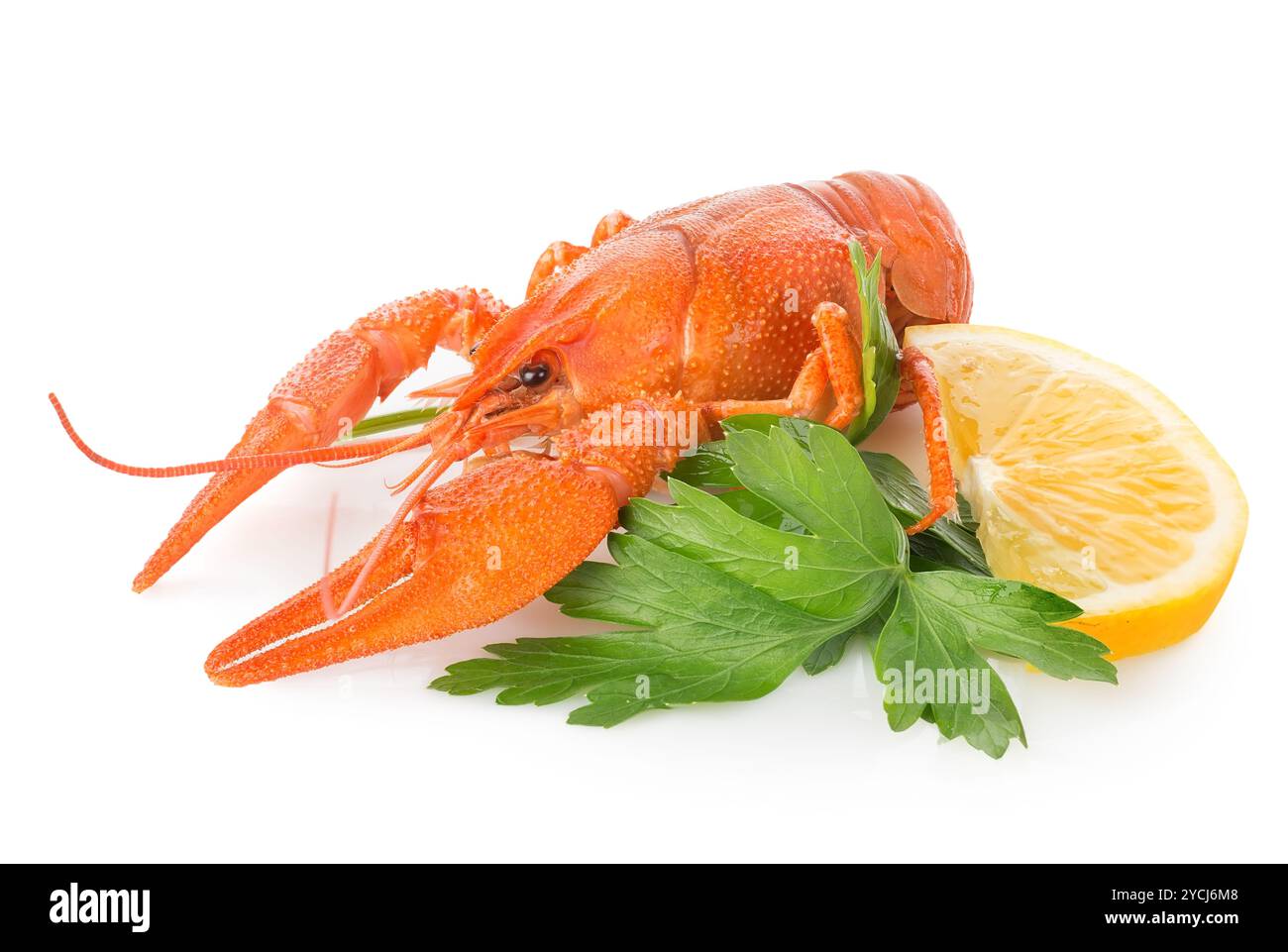 Crawfish lemon isolated on hi-res stock photography and images - Alamy