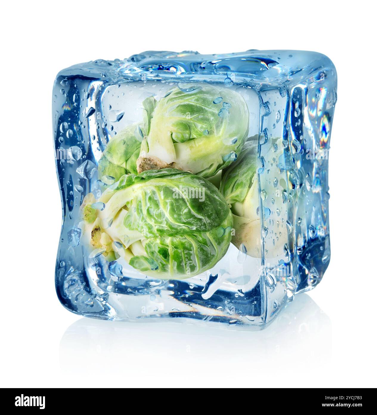 Fresh brussels sprout in Cut Out Stock Images & Pictures - Alamy