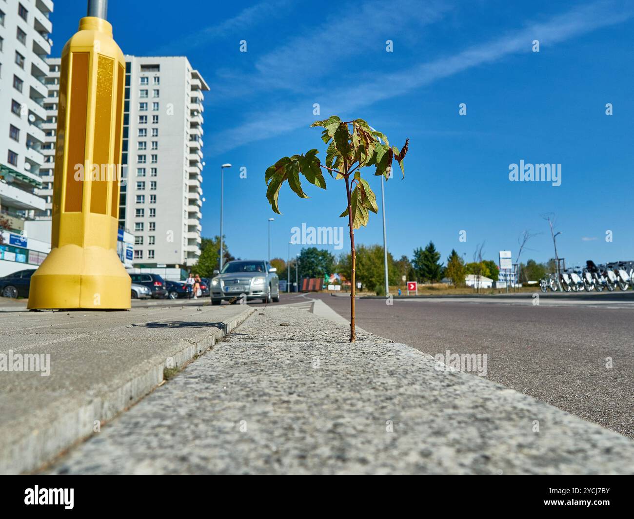 Sidewalk edge city hi-res stock photography and images - Alamy