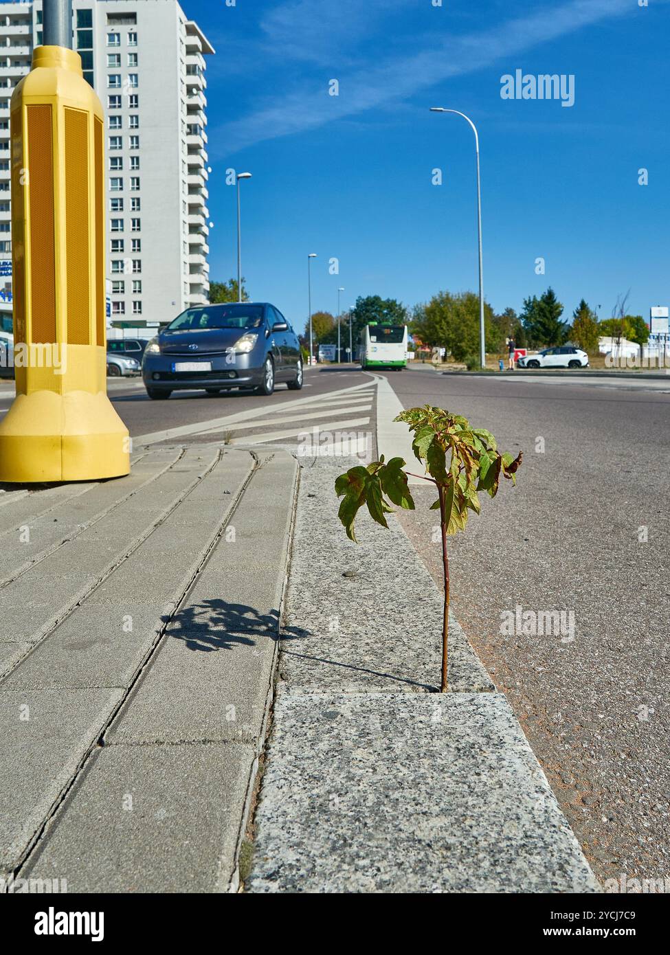 Small ground road in hi-res stock photography and images - Alamy