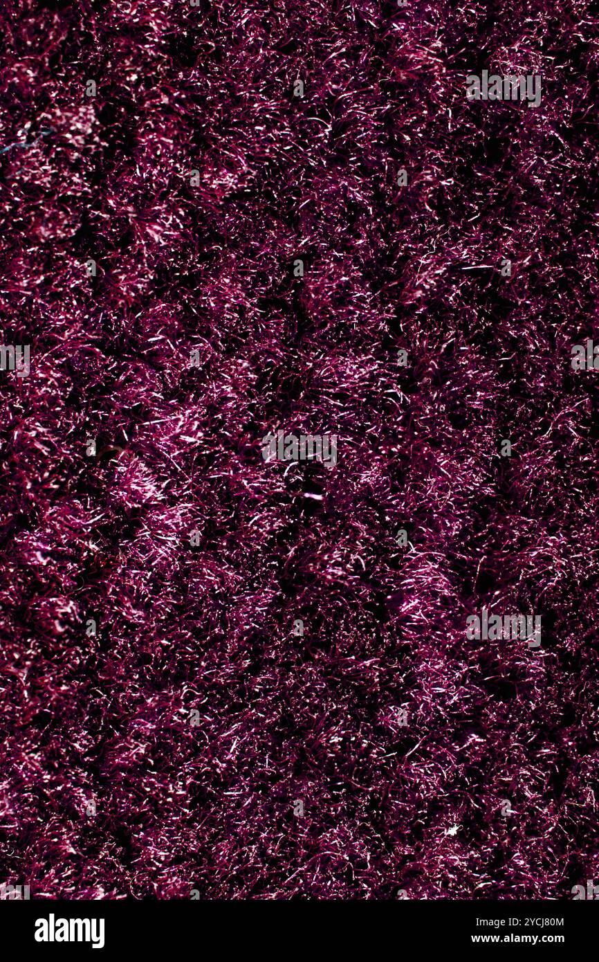 Pink fur texture hi-res stock photography and images - Alamy