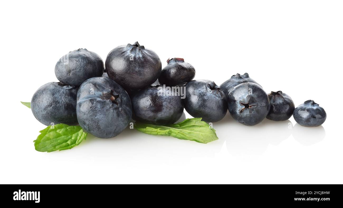 Fresh juicy blueberry leaves Cut Out Stock Images & Pictures - Alamy