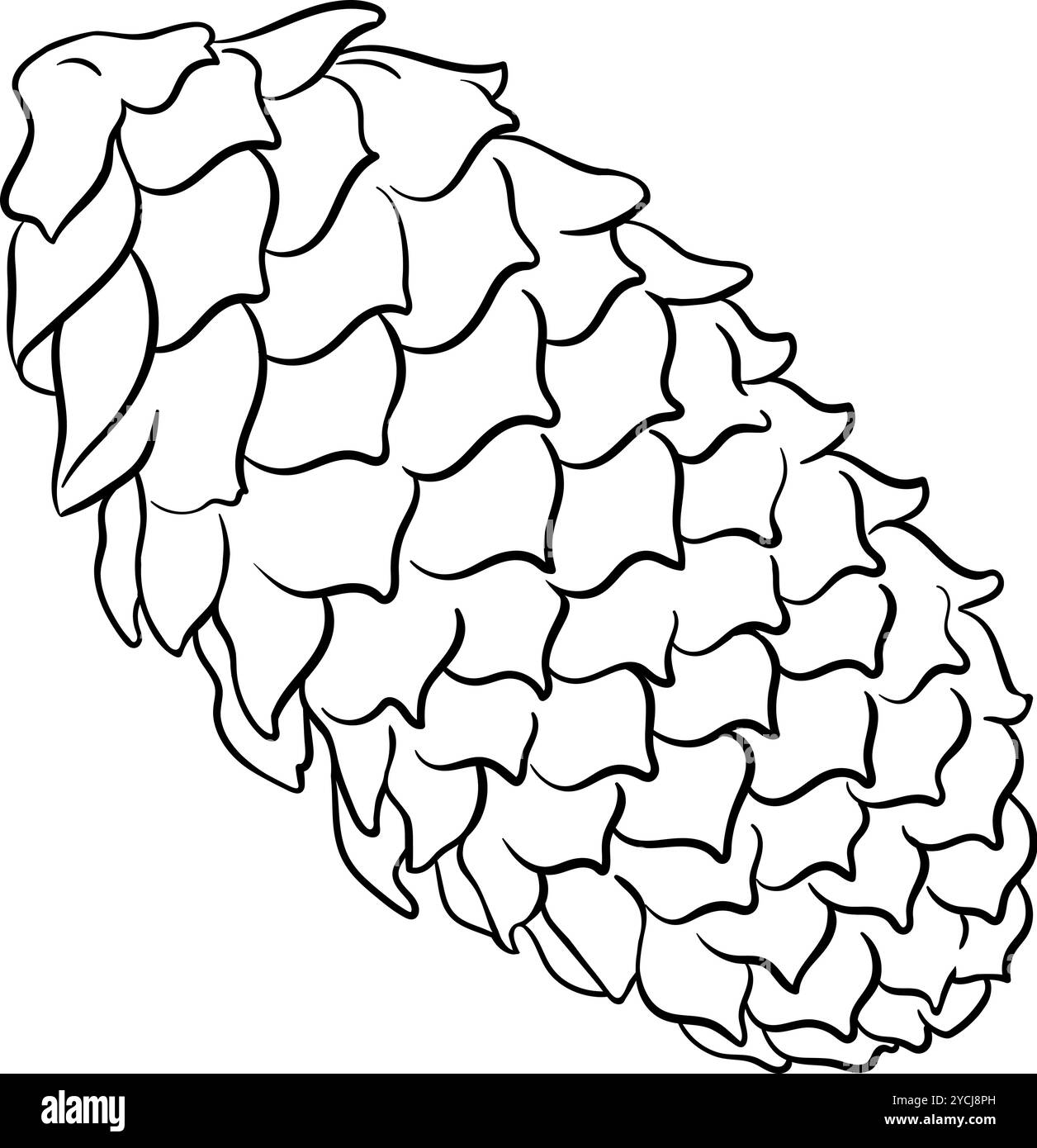 fir tree cone outline illustration Stock Vector Image & Art - Alamy