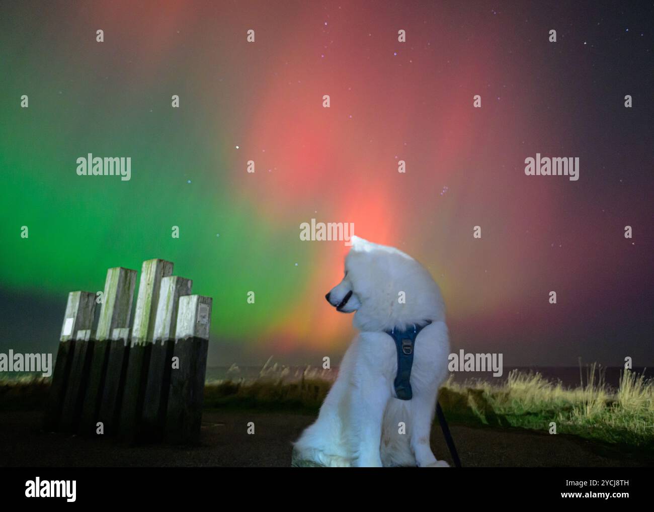 Aurora Borealis (Northern lights) Seaham, UK Stock Photo - Alamy