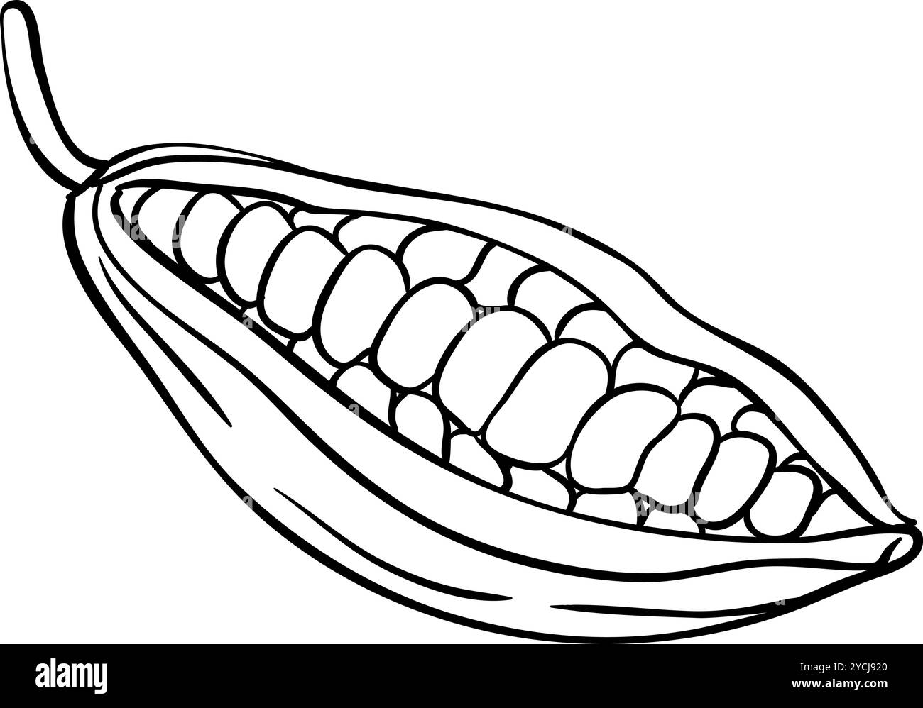 Cocoa Beans Isolated Outline Illustration Stock Vector Image & Art - Alamy