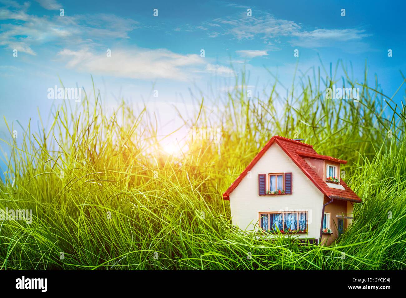 House on the green grass Stock Photo - Alamy