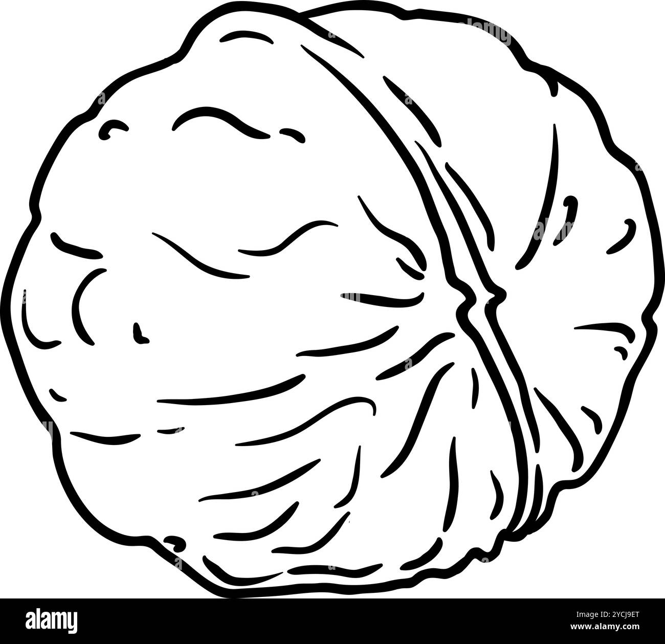 Walnut Outline Isolated Vector Illustration Stock Vector Image & Art ...