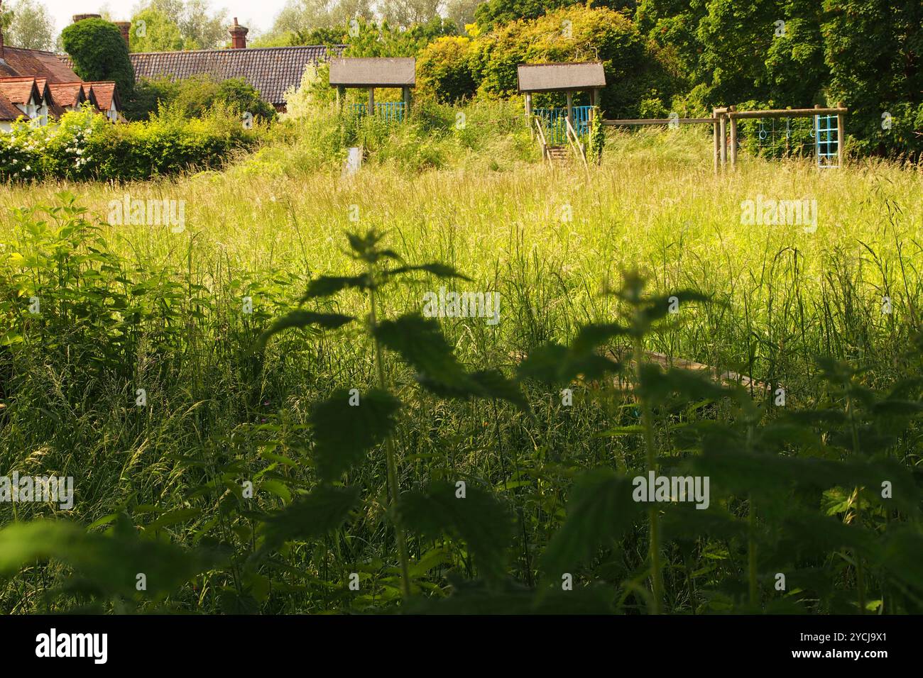 A playground which is completely overgown with grass, nettles and wild ...